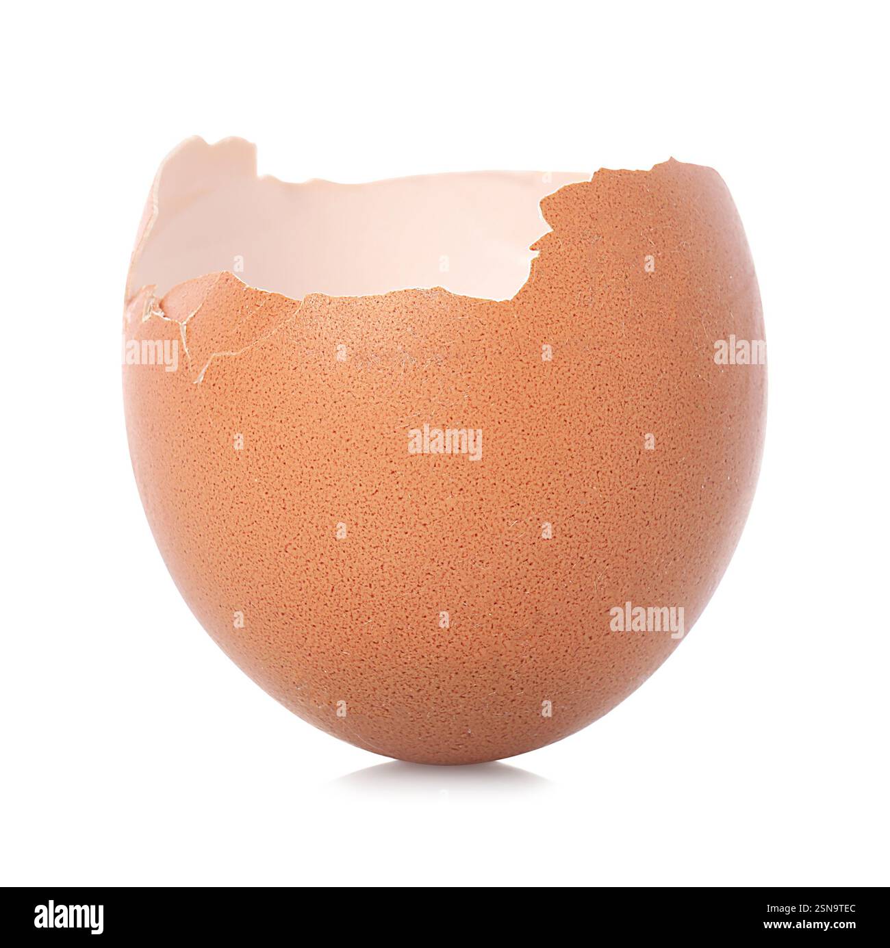One piece of broken eggshell on mirror surface against white background ...