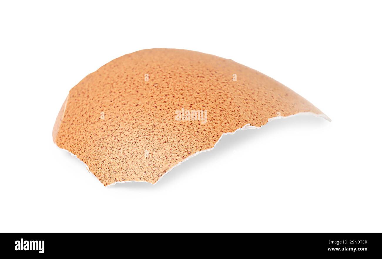 One piece of broken eggshell isolated on white Stock Photo - Alamy