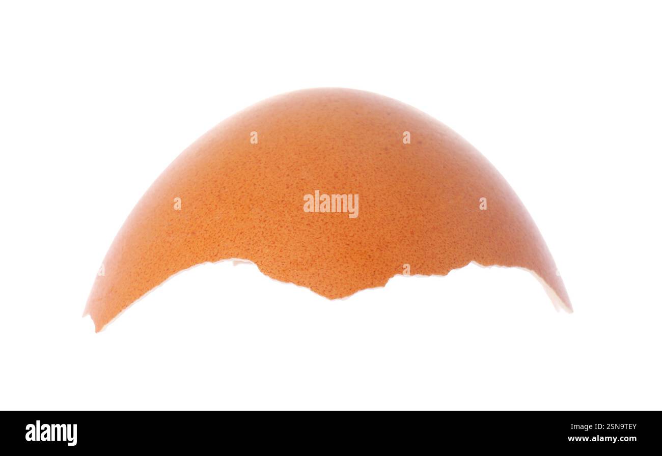 One piece of broken eggshell isolated on white Stock Photo - Alamy