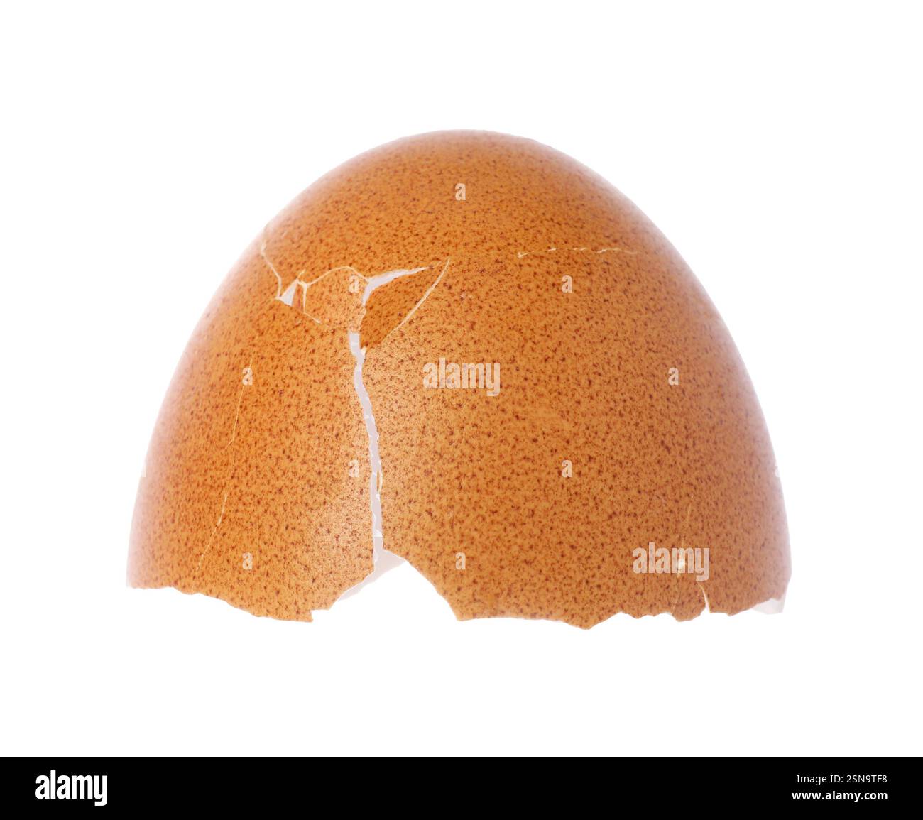 One piece of broken eggshell isolated on white Stock Photo - Alamy