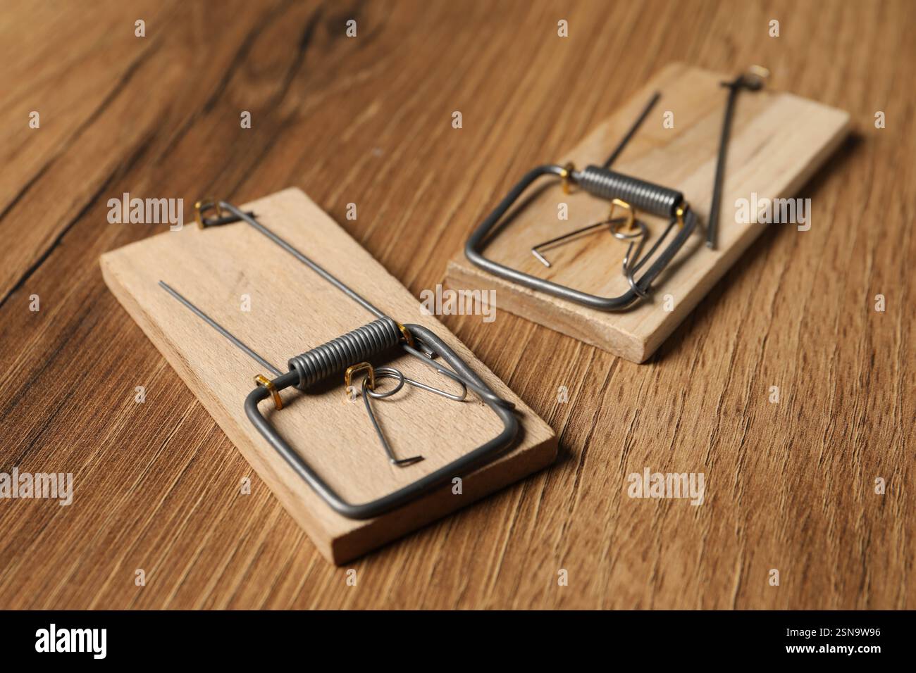 Two spring-loaded bar mousetraps on floor, closeup Stock Photo - Alamy