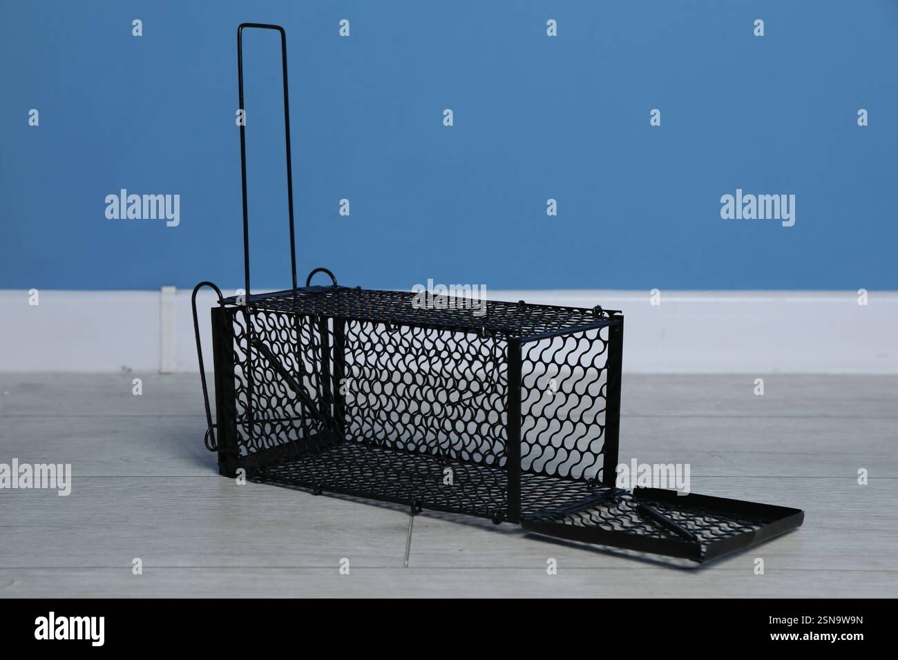 One metal mouse trap on floor indoors Stock Photo - Alamy