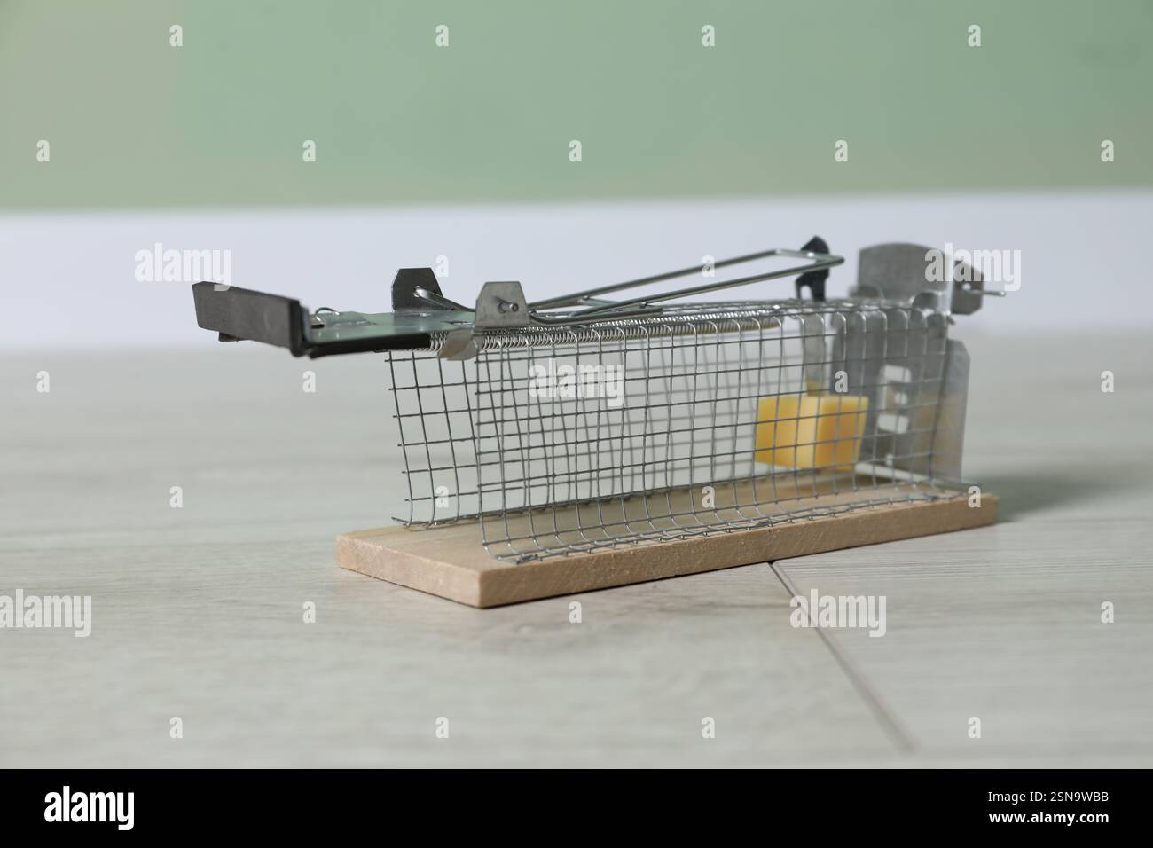 Metal mouse trap with piece of cheese indoors Stock Photo - Alamy