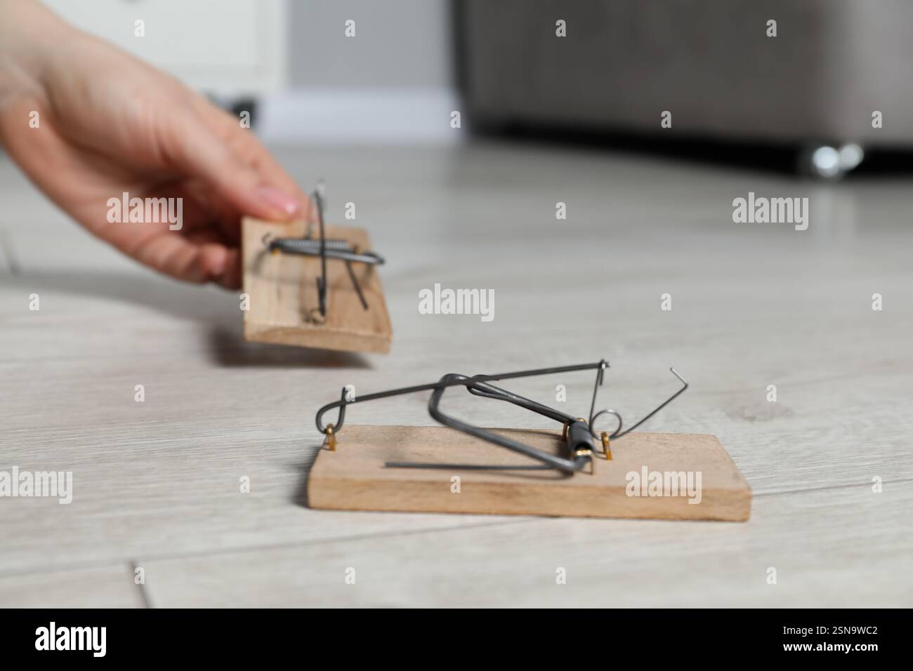 Woman with spring-loaded bar mousetrap indoors, closeup Stock Photo - Alamy