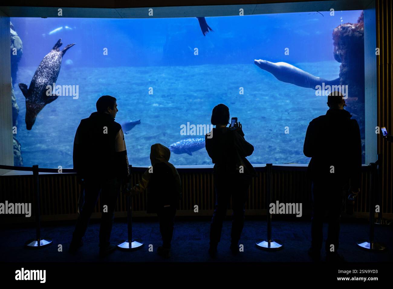 Oceanogràfic de València, Valencia, Spagna Stock Photo - Alamy