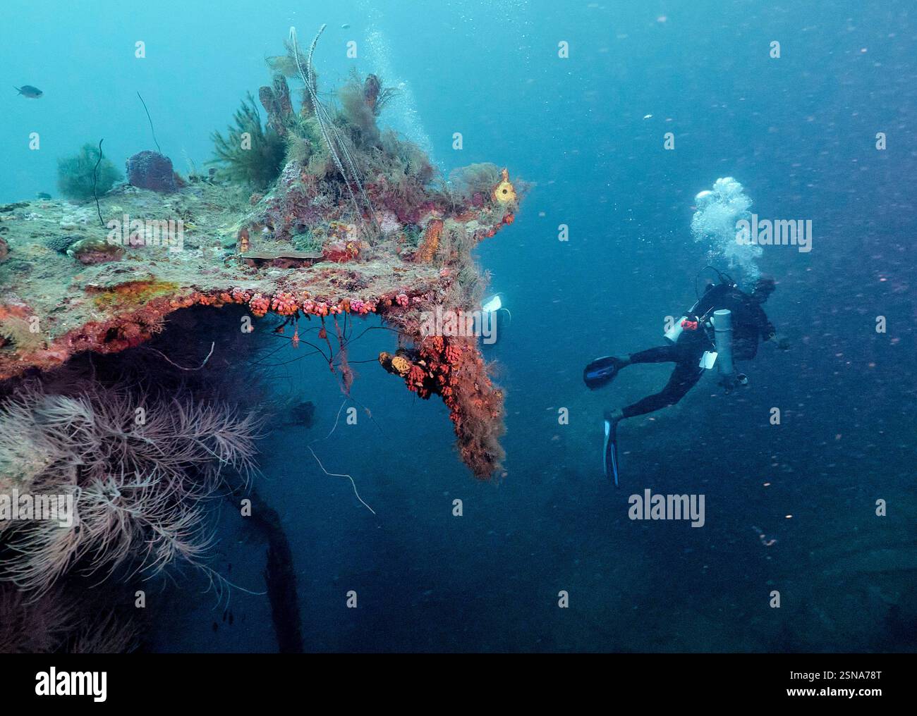 Bianca C is considered the “Titanic of the Caribbean“. It is the ...