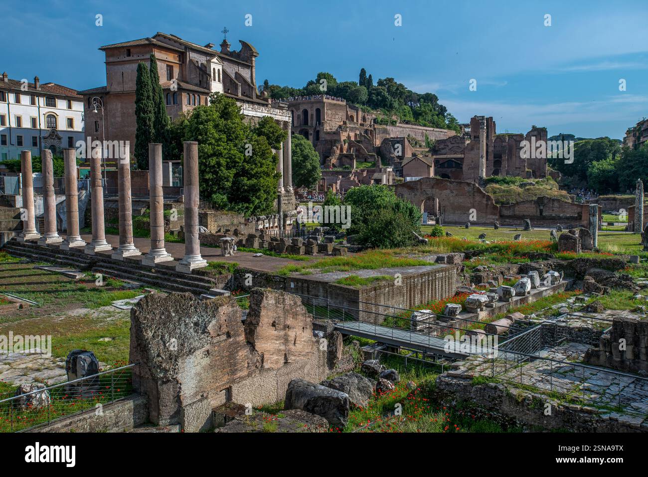 Colonne dei fori imperiali hi-res stock photography and images - Alamy