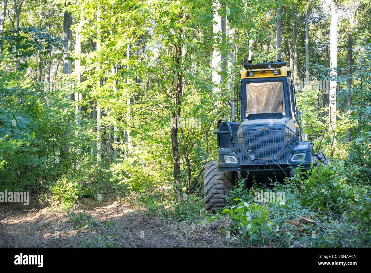 Black-yellow forest logging tractor in dense green woodland Stock Photo ...