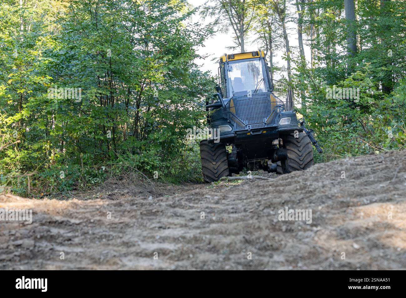 Black-yellow forest logging tractor in dense green woodland Stock Photo ...