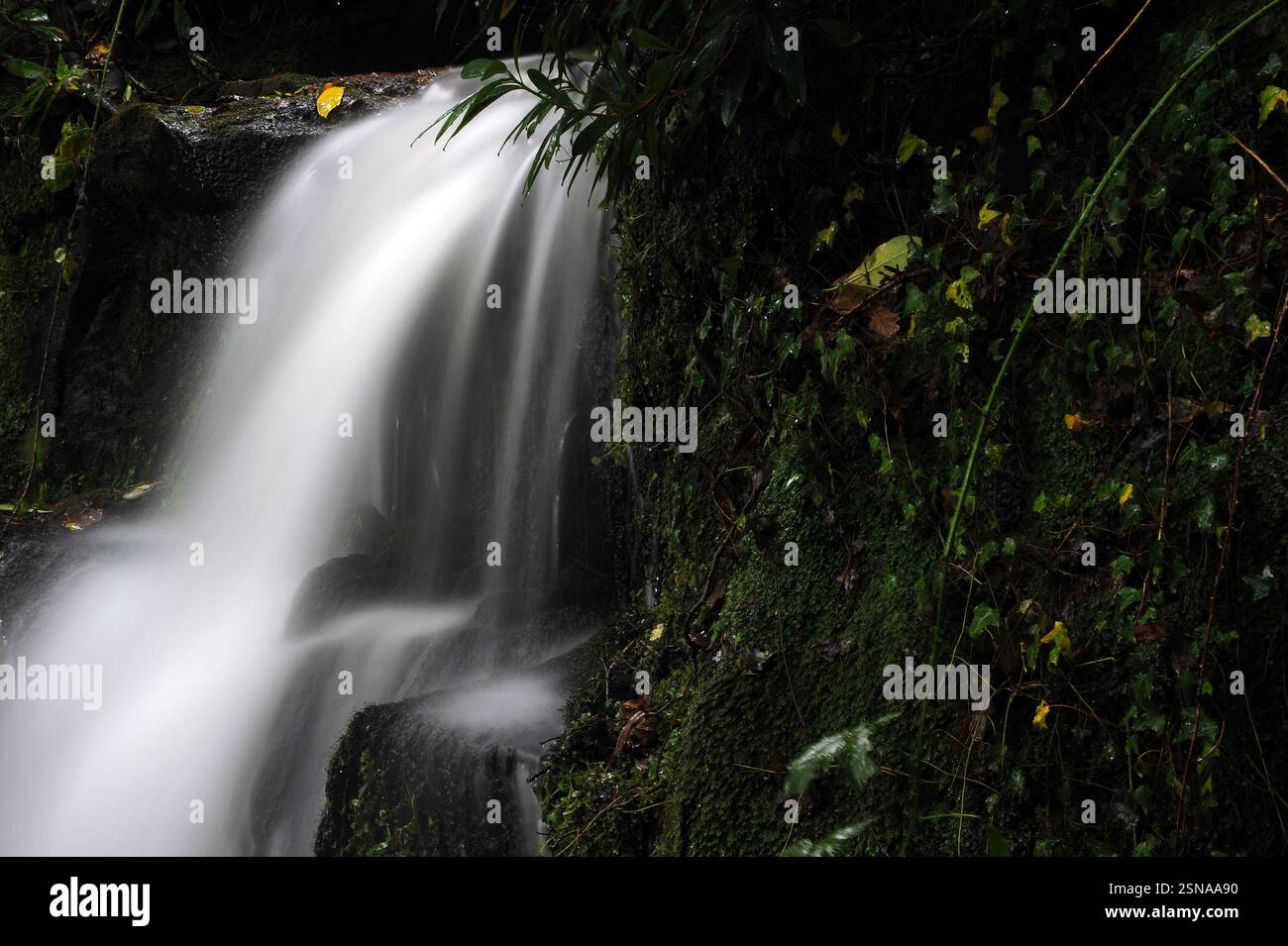 Small waterfall (approx 10 feet) at Mosshouse Woods Reservoir, Gnoll ...