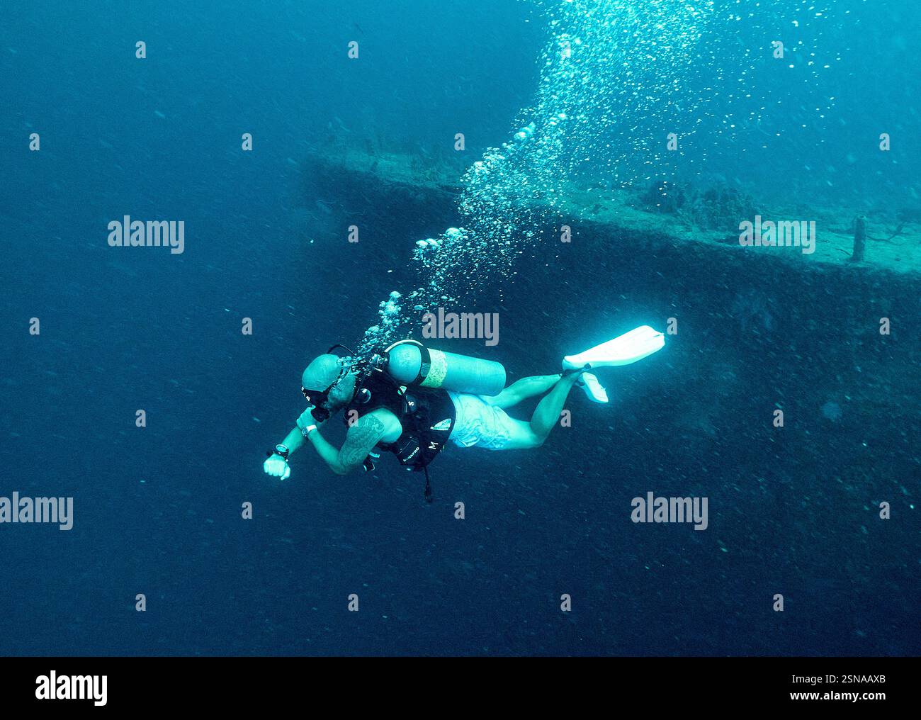 Bianca c ship hi-res stock photography and images - Alamy