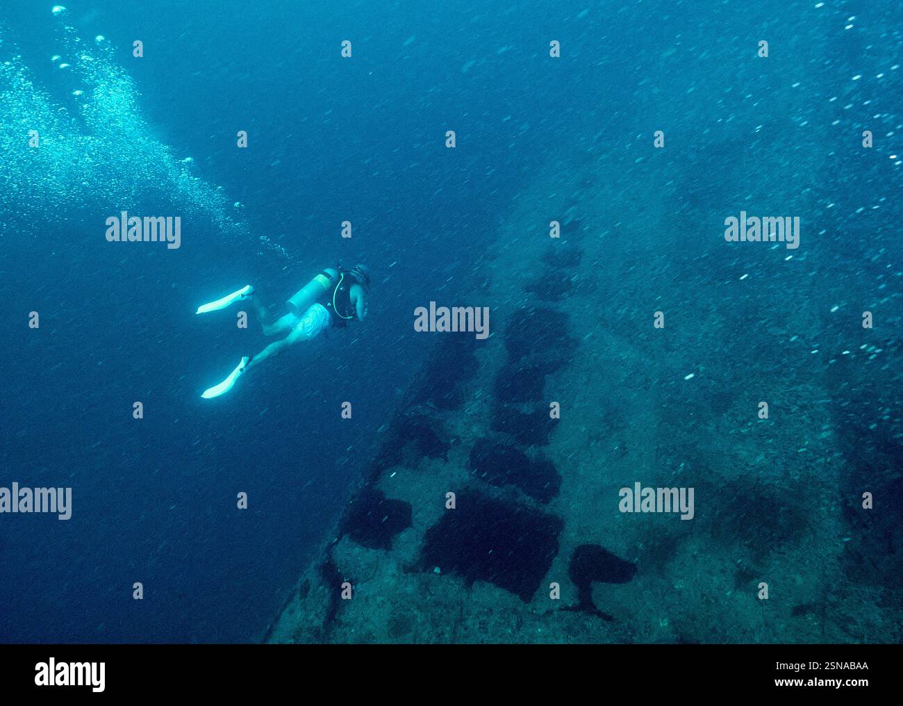 Bianca C is considered the “Titanic of the Caribbean“. It is the ...