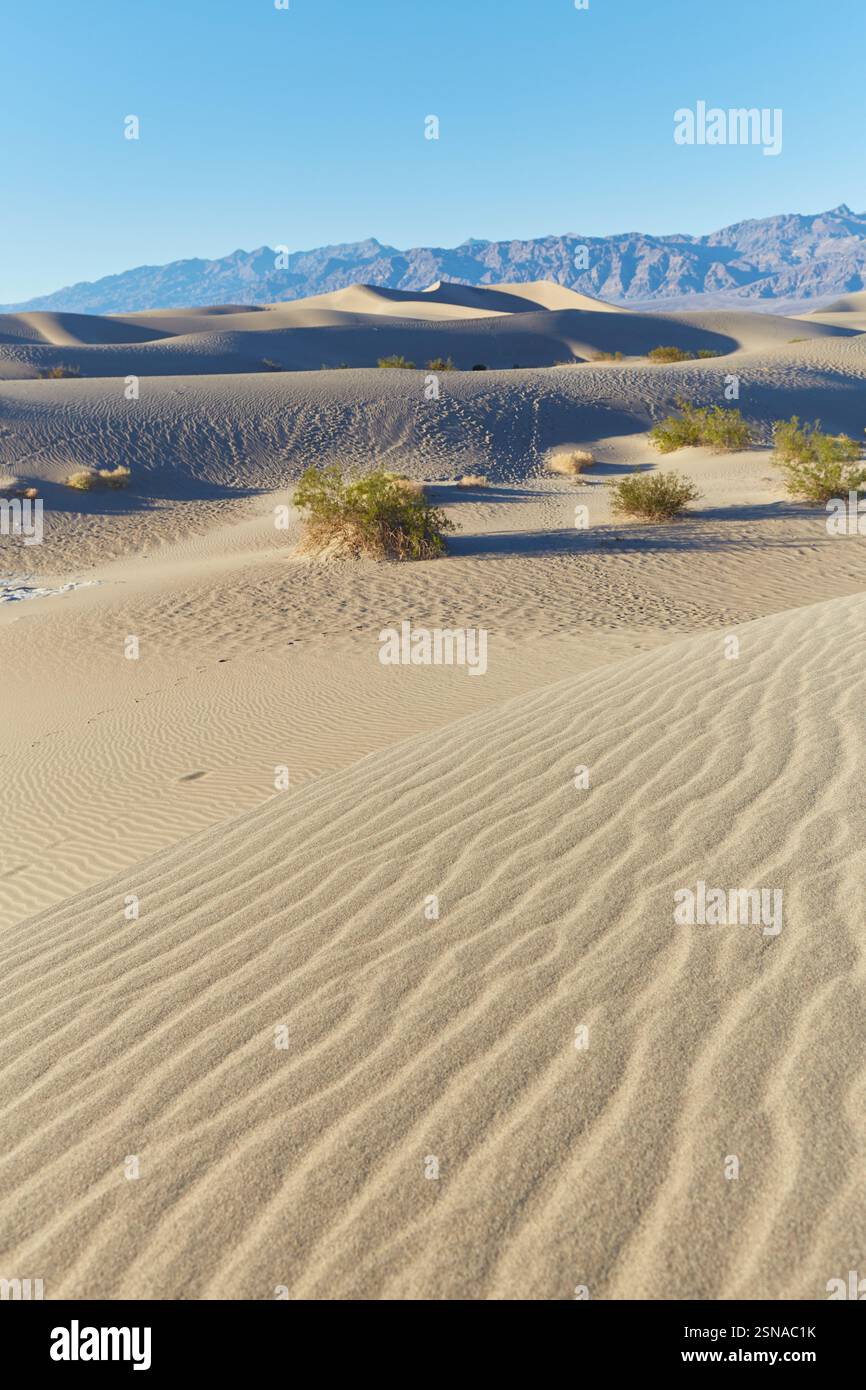 California's Death Valley National Park is the hottest and driest place ...