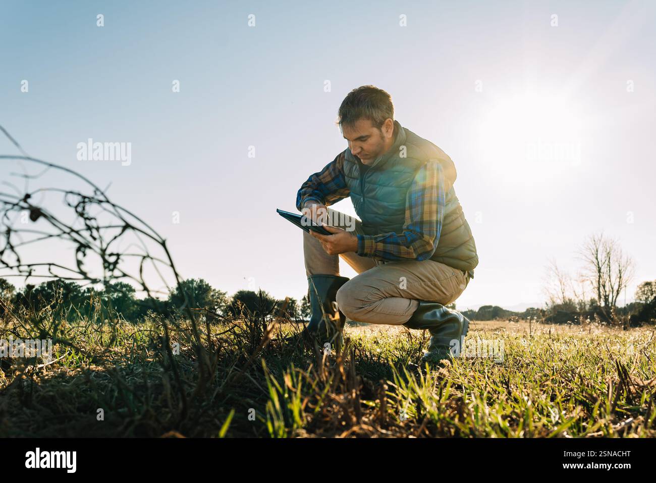 Farmer using digital tablet while crouching in cultivated field at ...