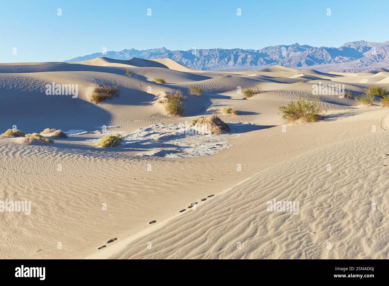 California's Death Valley National Park is the hottest and driest place ...