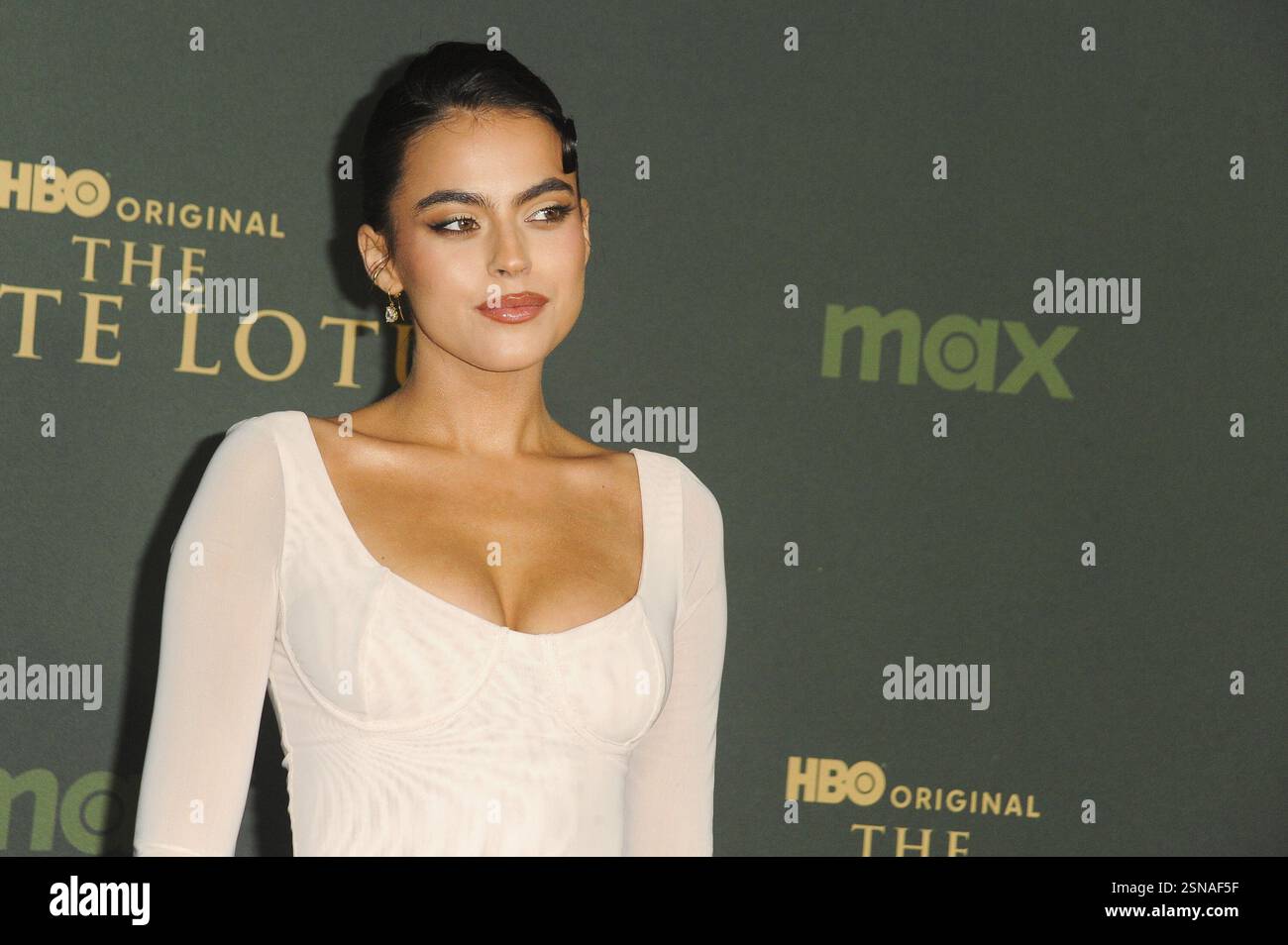 Ca. 10th Feb, 2025. Sarah Jane Nader at arrivals for THE WHITE LOTUS ...