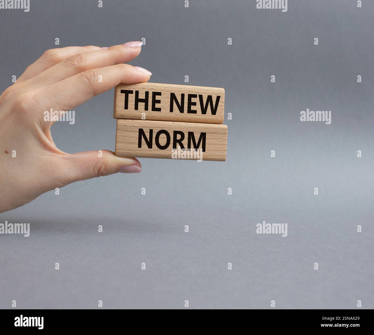 The new norm symbol. Concept words The new norm on wooden blocks ...