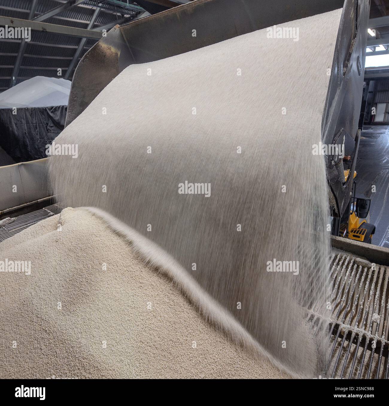 Shovel dumping fertilizer in a silo. At a distribution and storage ...