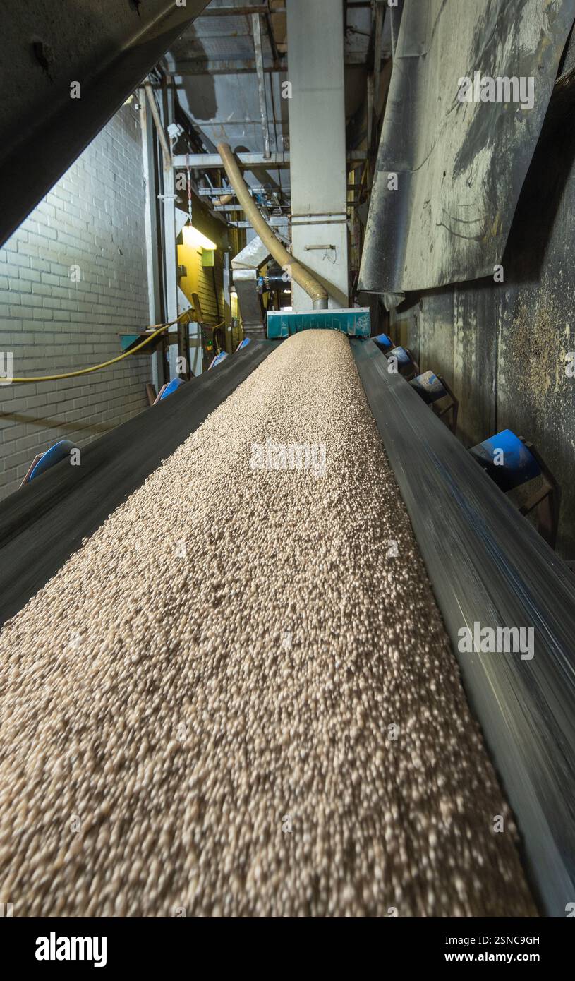 Conveyor belt at factory with fertilzer. At a distribution and storage ...
