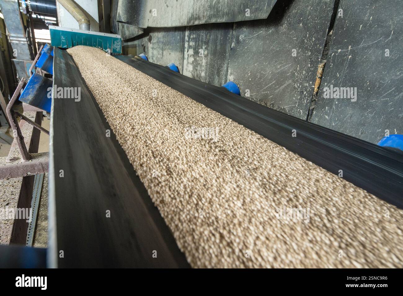 Conveyor belt at factory with fertilzer. At a distribution and storage ...