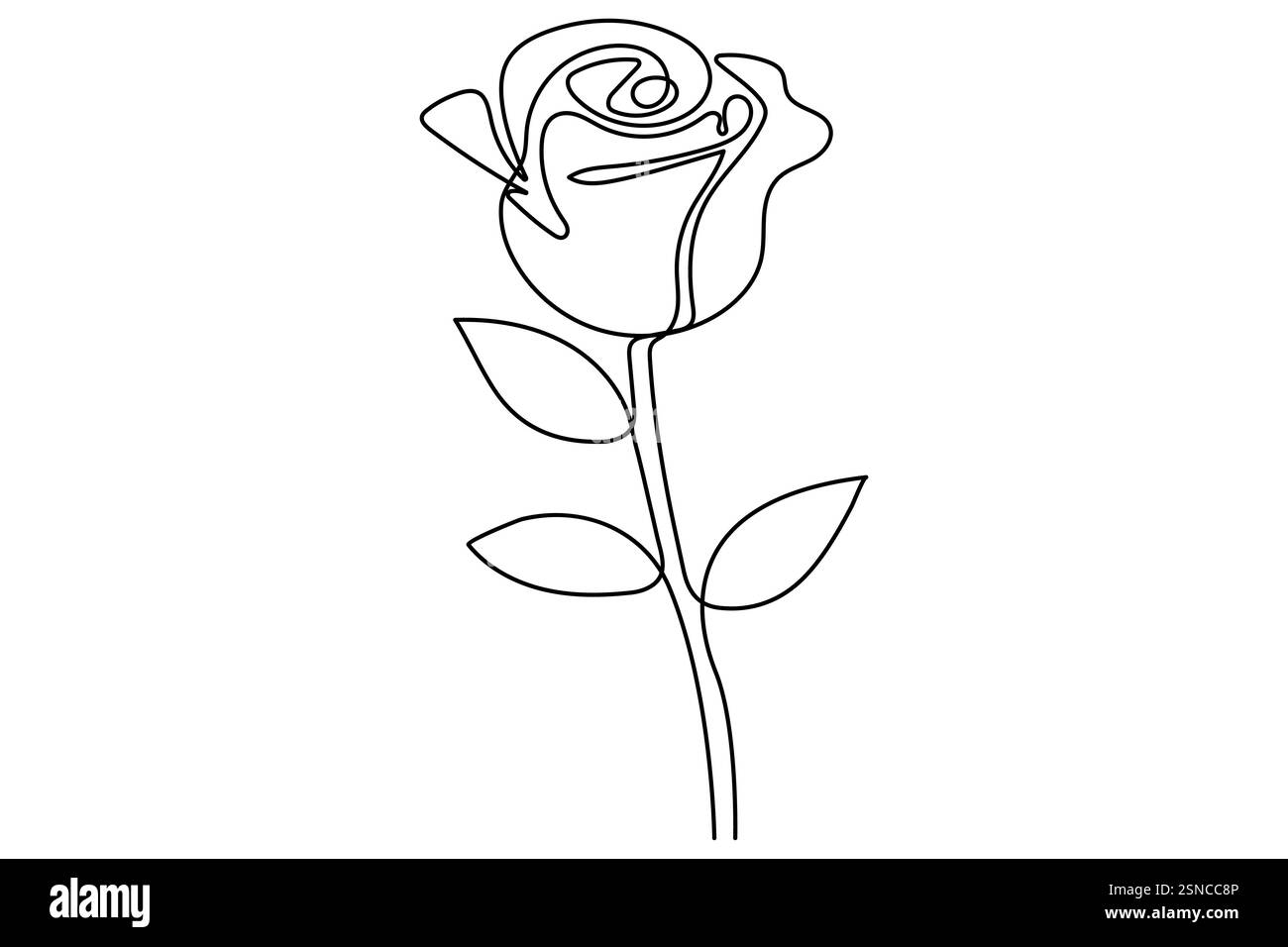 Rose flower continuous one line drawing of rose flower isolated outline vector illustration ...