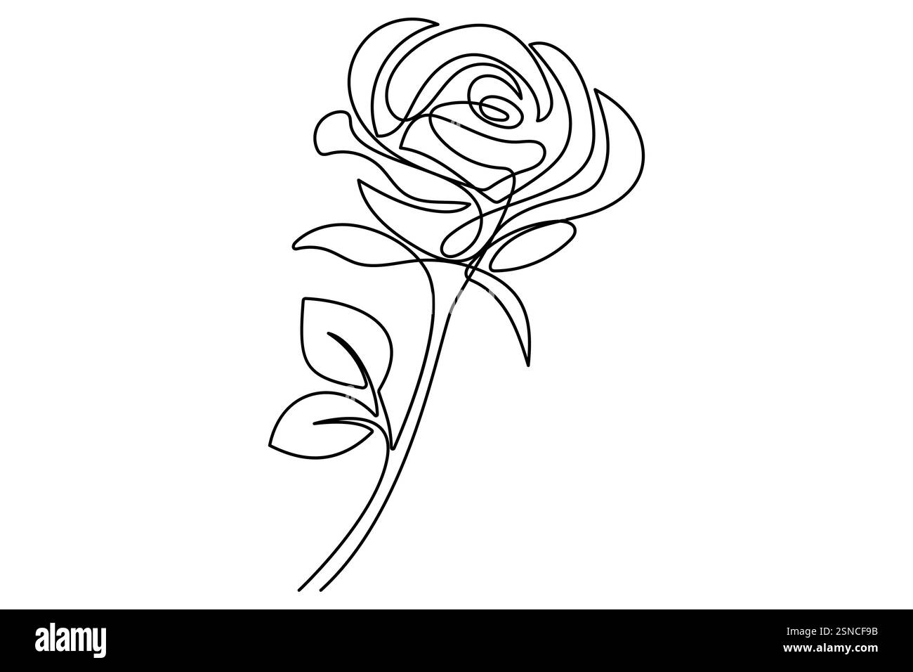 Rose flower continuous one line drawing of rose flower isolated outline vector illustration ...