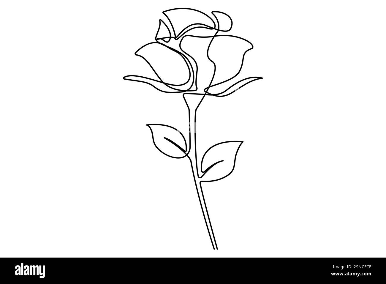 Rose flower continuous one line drawing of rose flower isolated outline vector illustration ...