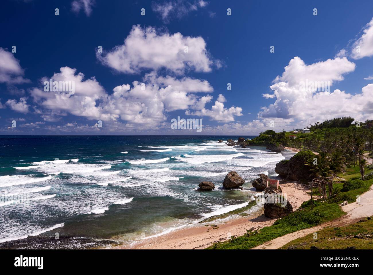 Barbados Beach Scene Stock Photo - Alamy