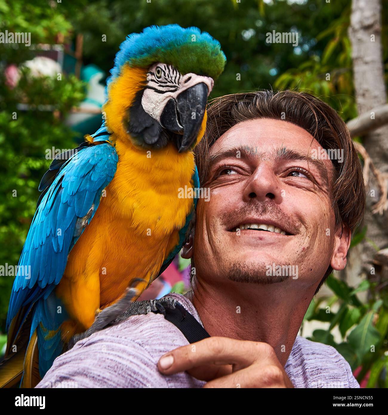 Man and his parrot, St Maarten Zoo Stock Photo - Alamy