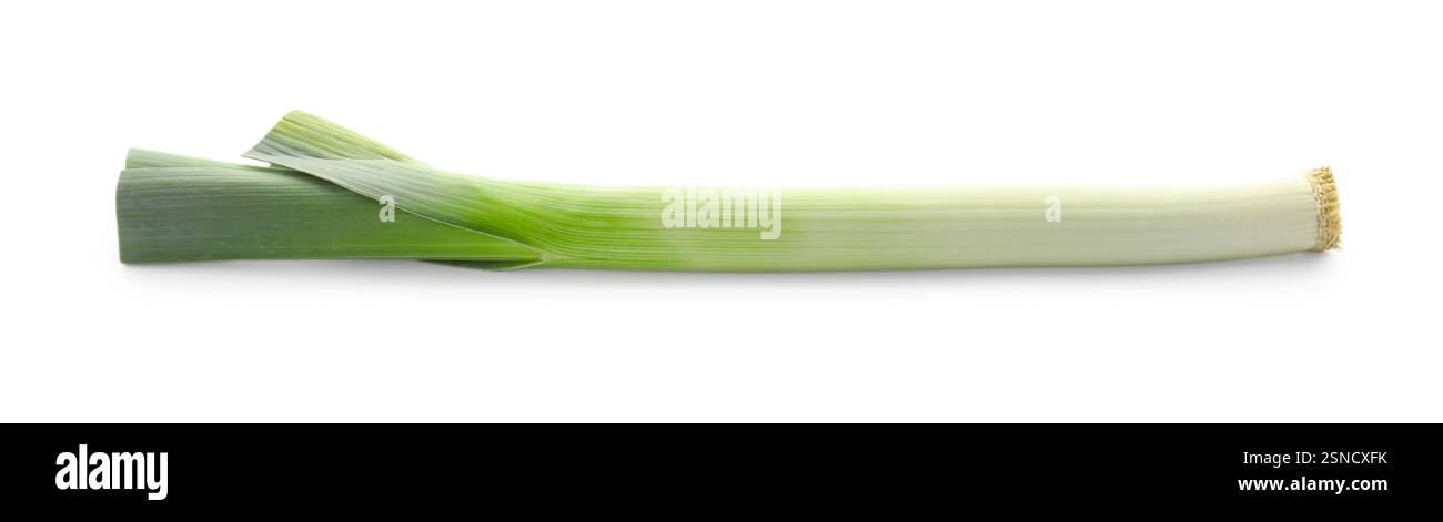 One fresh leek isolated on white. Spicy vegetable Stock Photo - Alamy