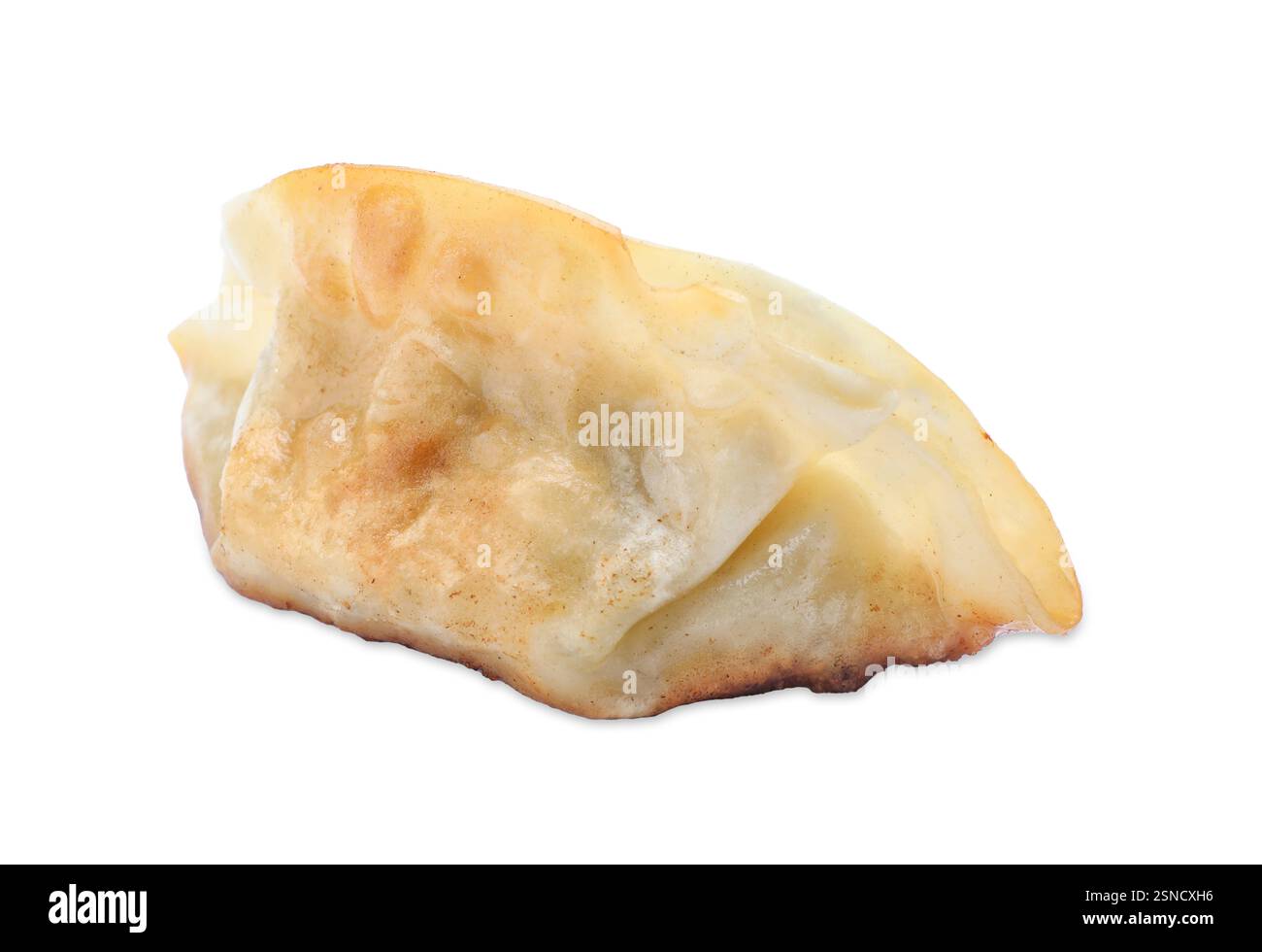 One fried gyoza dumpling isolated on white Stock Photo - Alamy