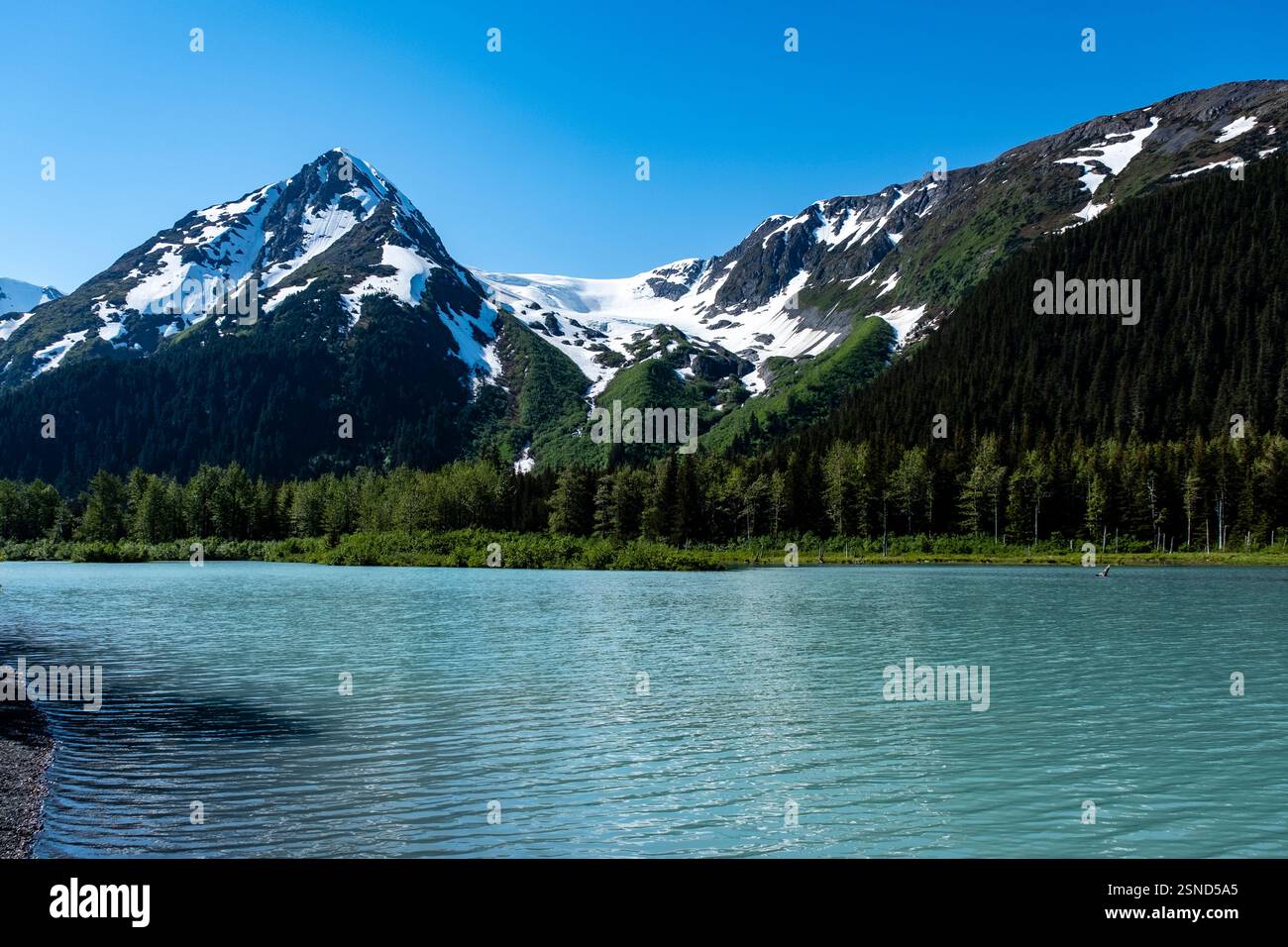 Alaska Wilderness in Spring Stock Photo - Alamy