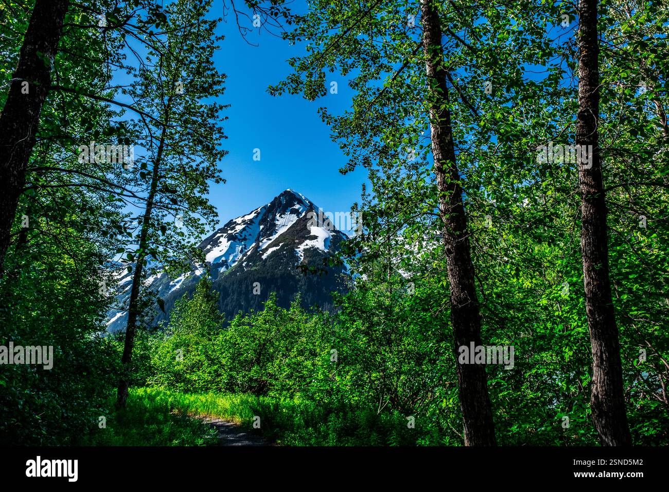 Alaska Wilderness in Spring Stock Photo - Alamy