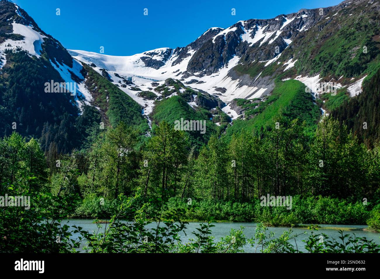 Alaska Wilderness in Spring Stock Photo - Alamy