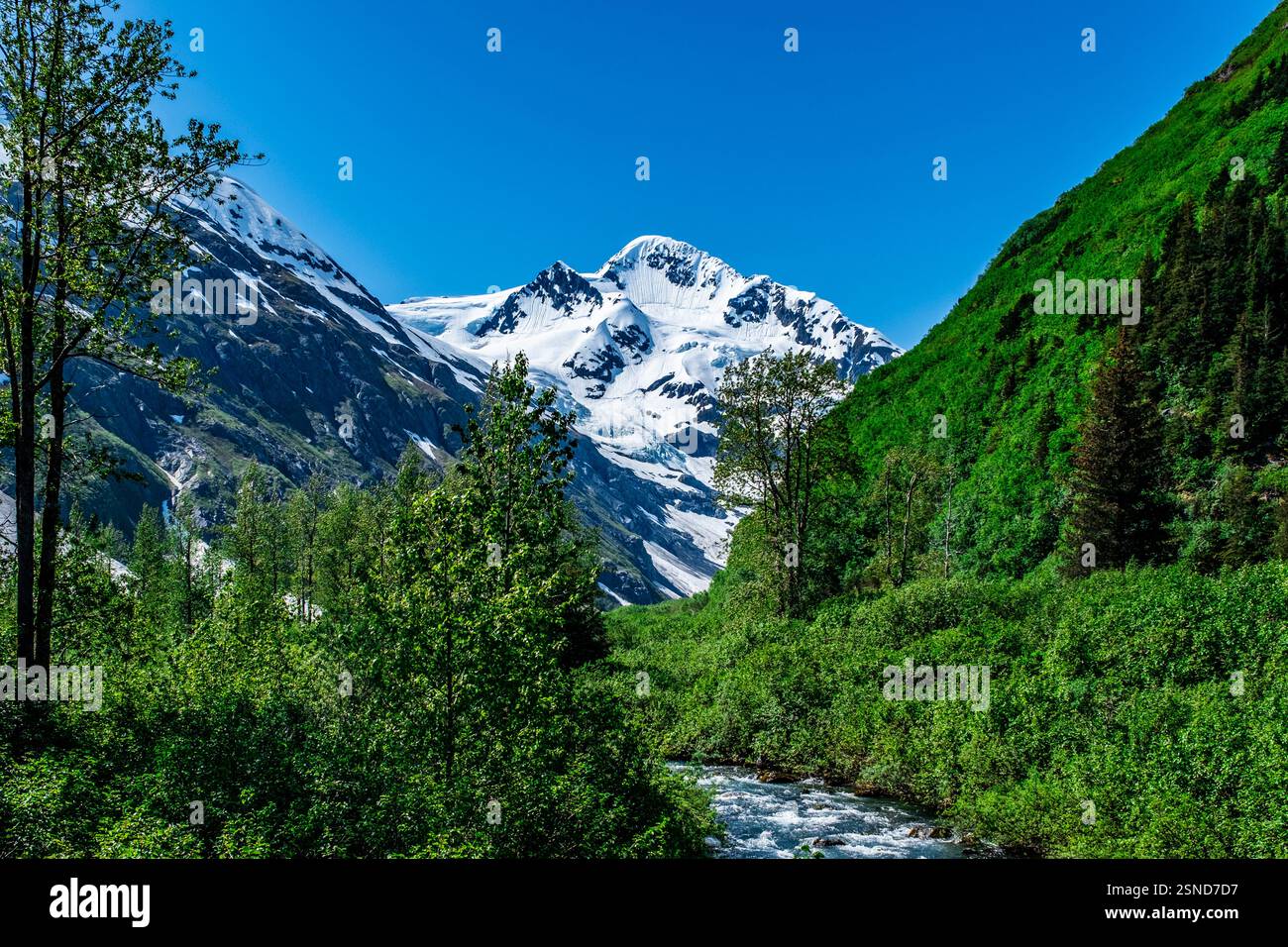 Alaska Wilderness in Spring Stock Photo - Alamy