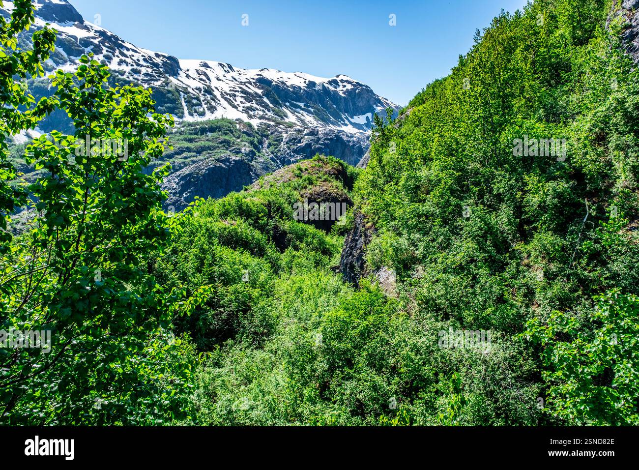 Alaska Wilderness in Spring Stock Photo - Alamy