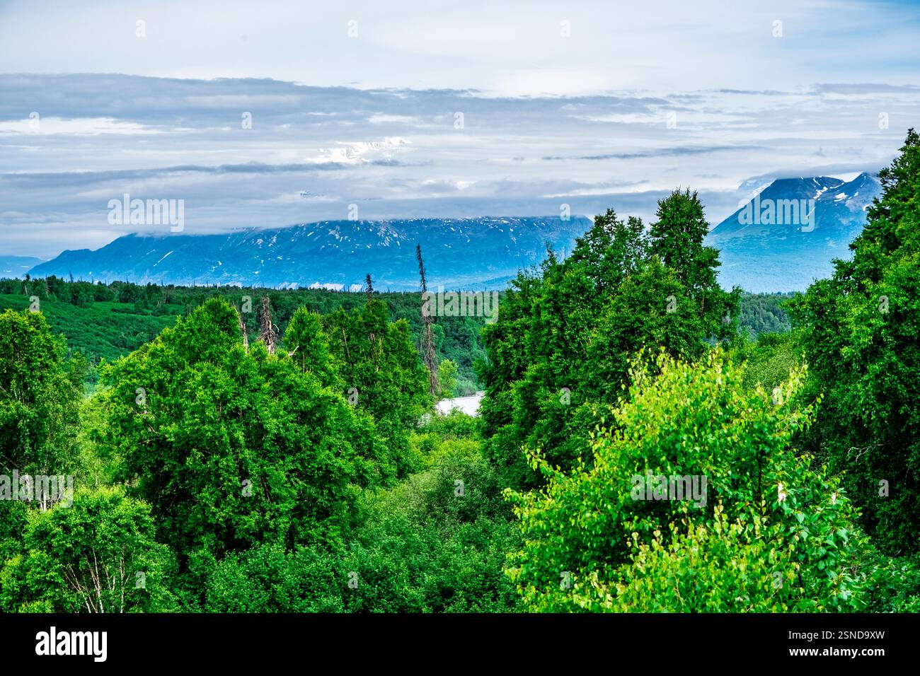 Alaska Wilderness in Spring Stock Photo - Alamy