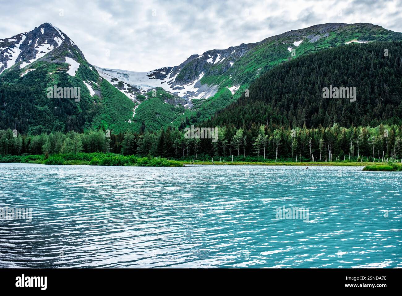 Alaska Wilderness in Spring Stock Photo - Alamy
