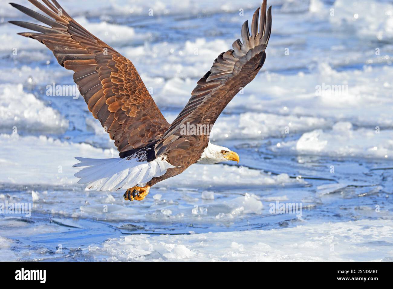 Frozen water canada hi-res stock photography and images - Alamy