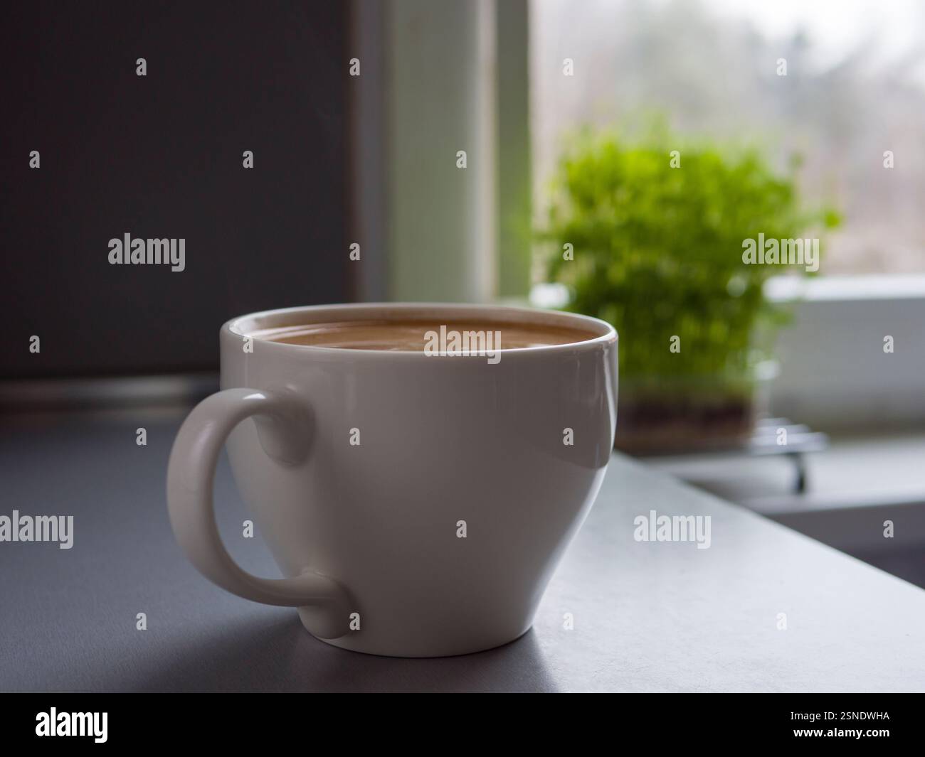 Coffee-filled white ceramic mug resting on gray kitchen counter beside ...