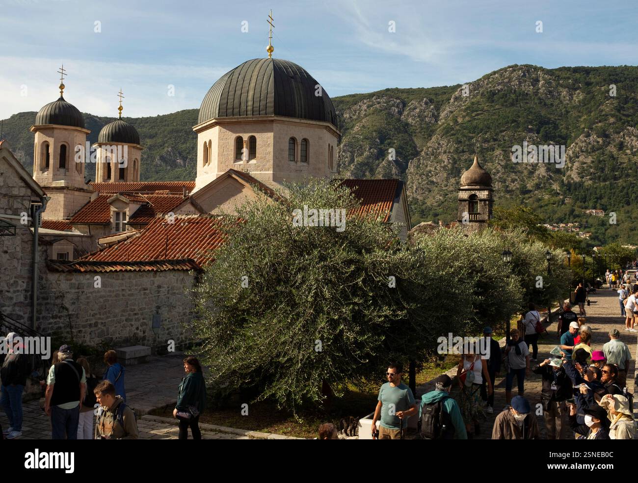 Church of Saint Nicholas, Kotor, Montenegro Stock Photo - Alamy