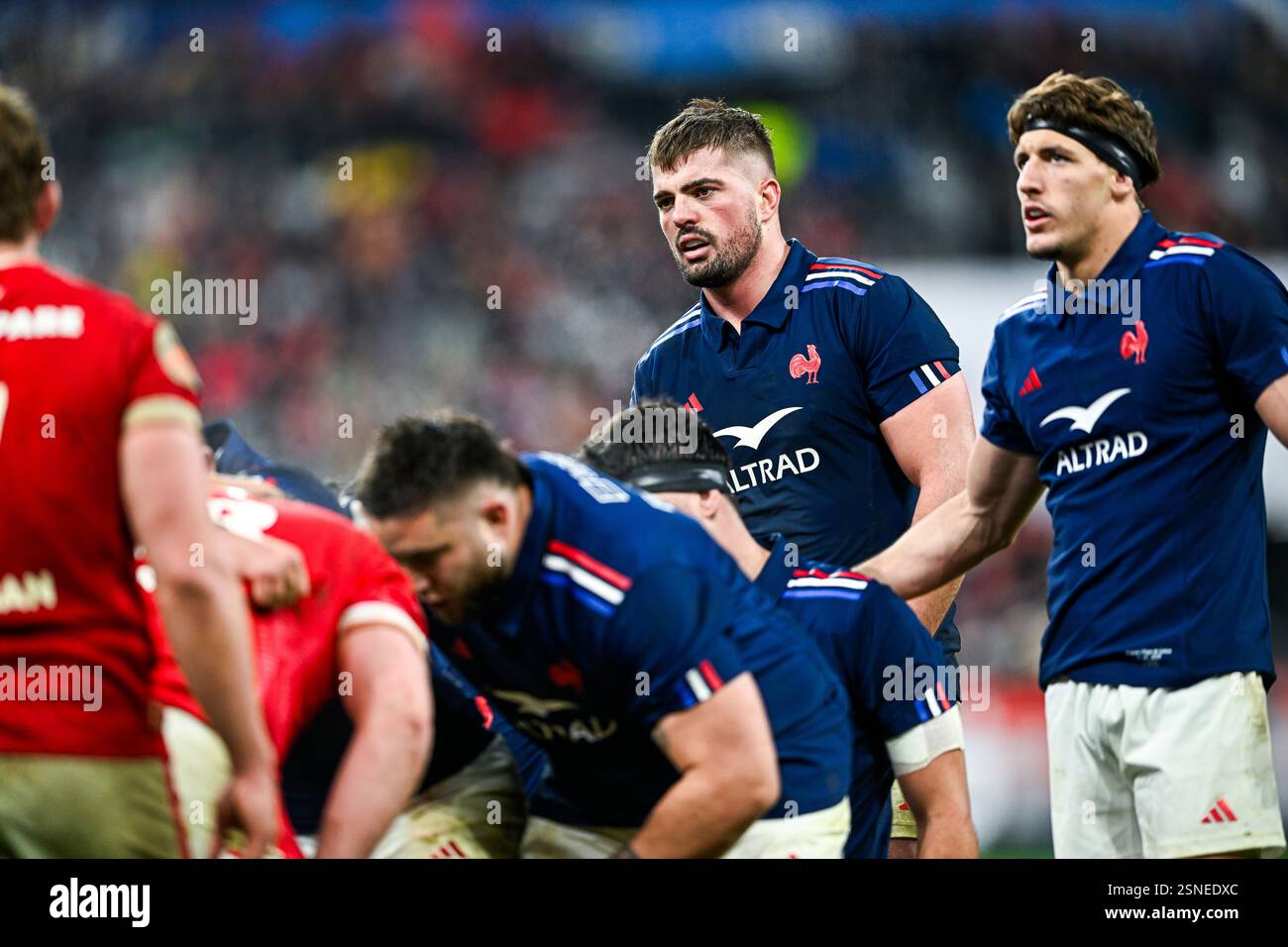 Gregory Alldritt during the 6 or Six Nations Championship rugby match ...