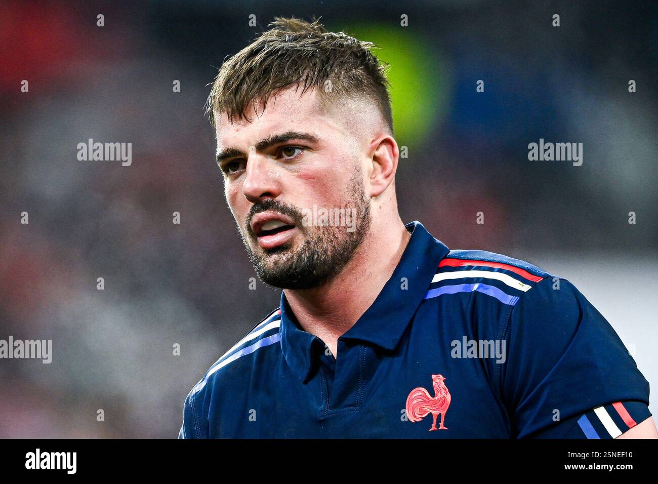 Gregory Alldritt during the 6 or Six Nations Championship rugby match ...