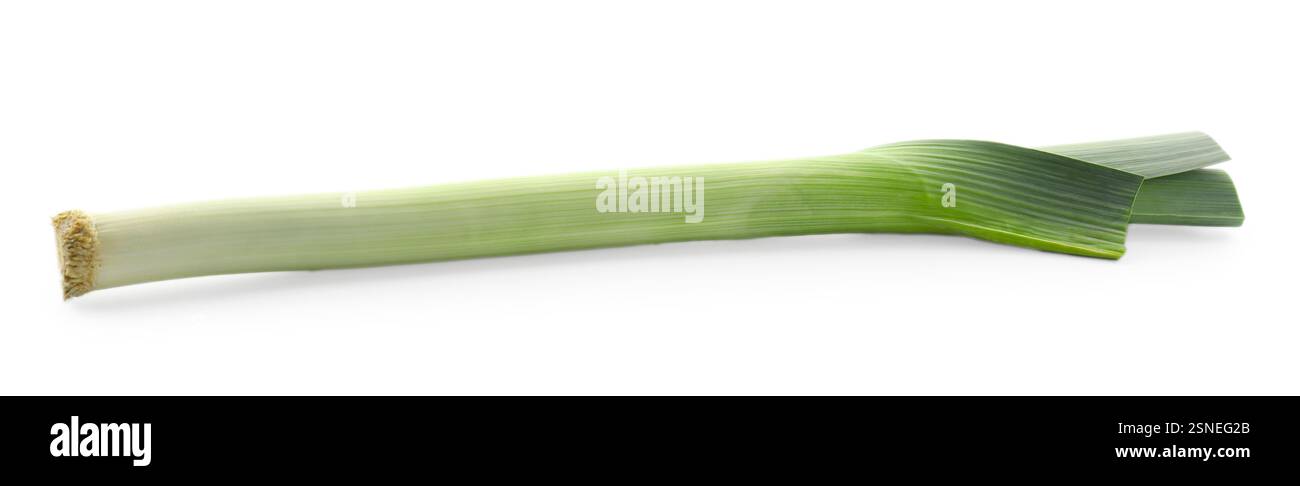One fresh leek isolated on white. Spicy vegetable Stock Photo - Alamy