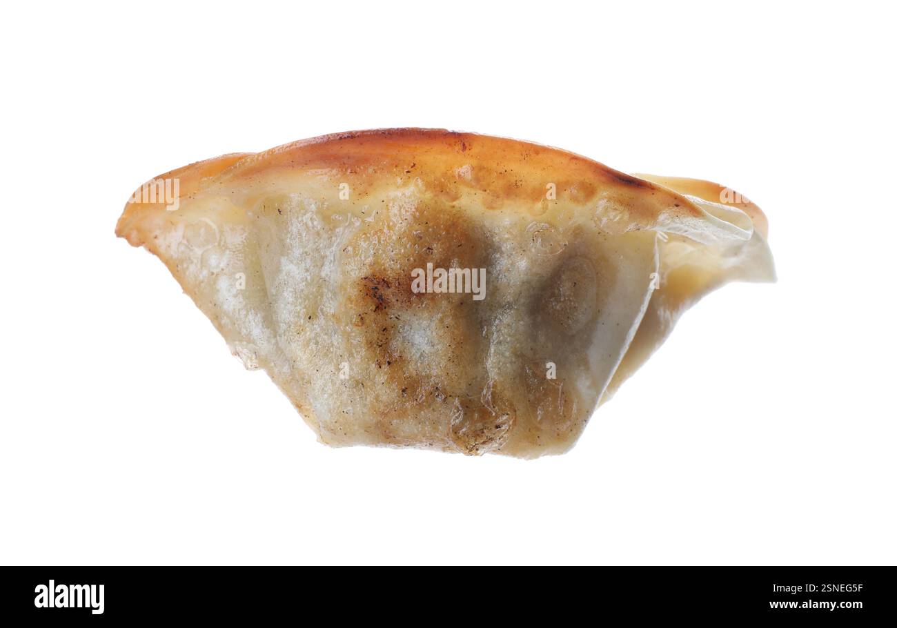 One fried gyoza dumpling isolated on white Stock Photo - Alamy