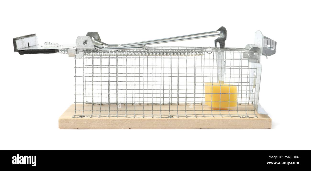 Mouse trap with cheese isolated on white Stock Photo - Alamy