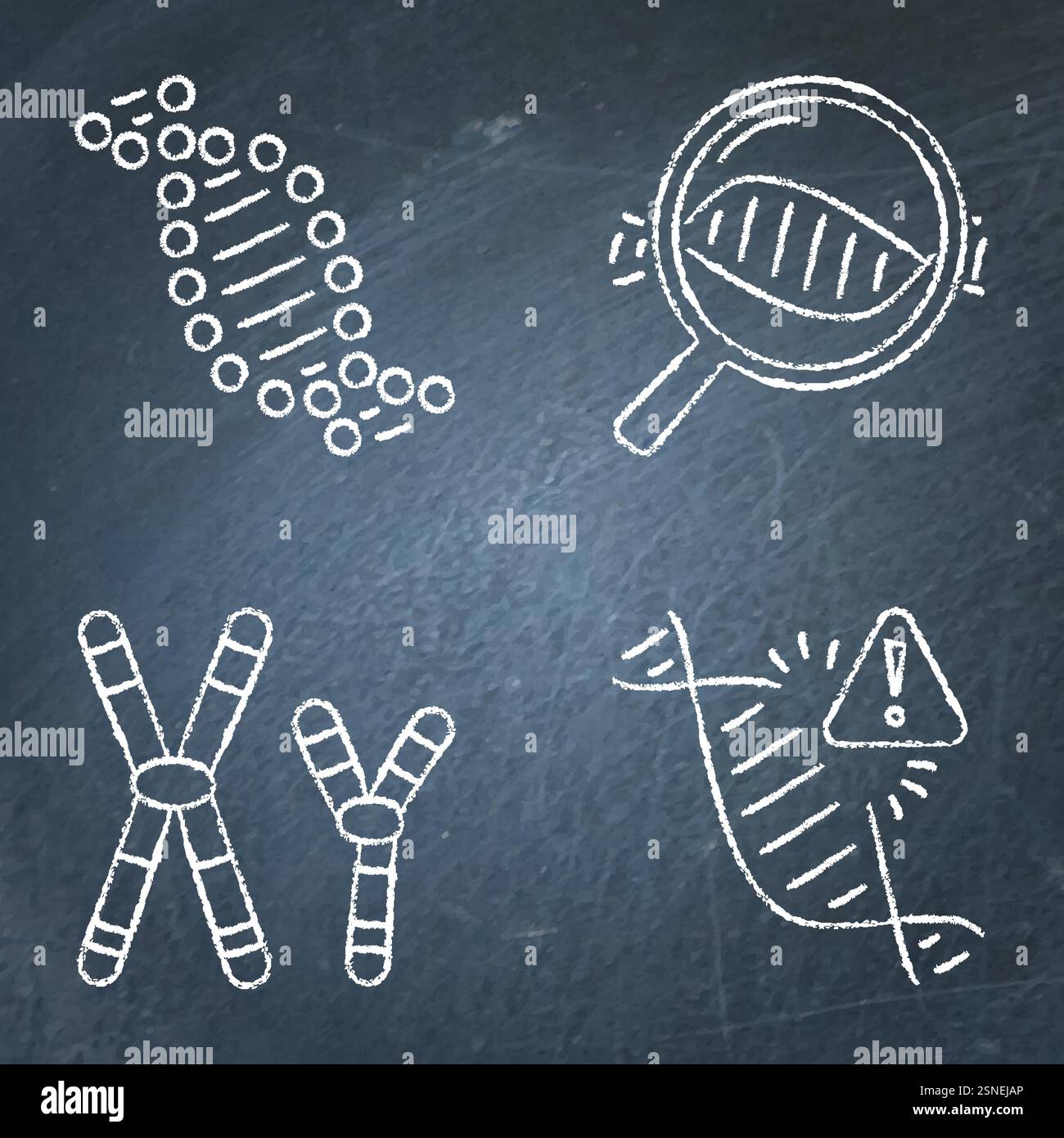 DNA and genes chalkboard icon set. Vector illustration Stock Vector ...