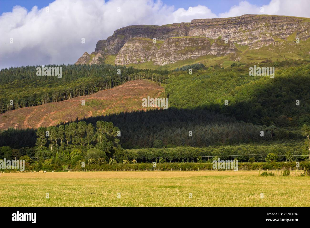The majestic Binevenagh mountain summit near Limavady in County ...