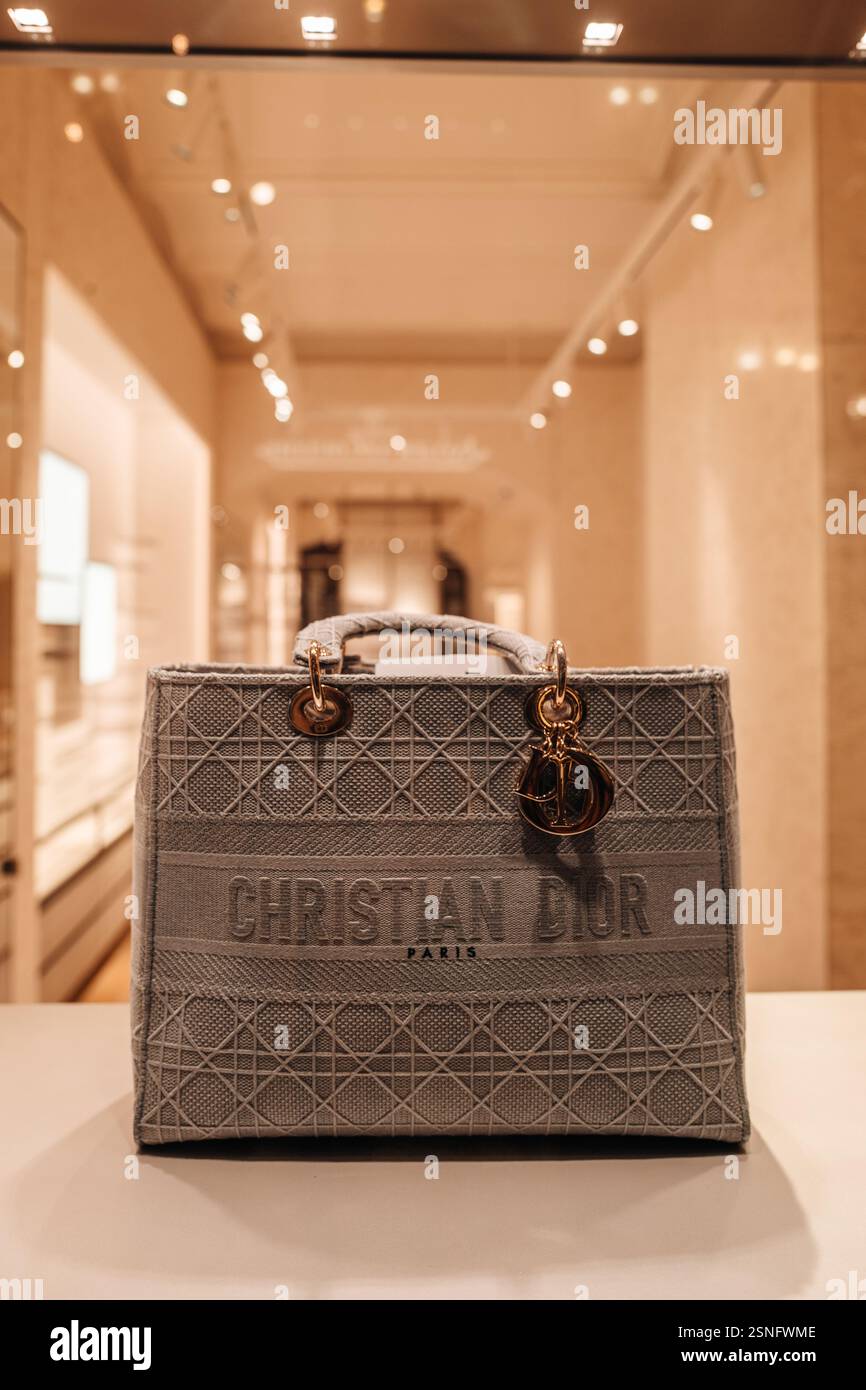 Front view of gray textile Dior handbag with golden logotype. Christian ...