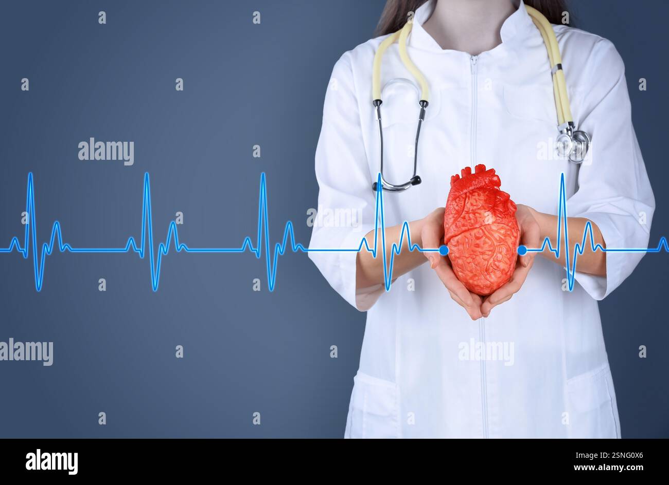 Cardiology. Doctor holding anatomical model of heart on color ...